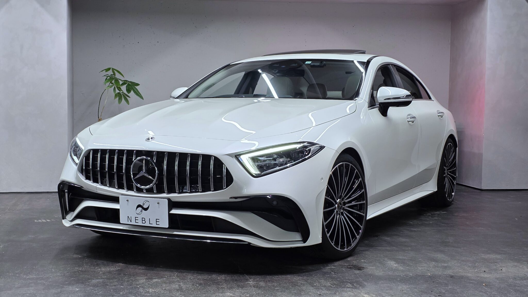 CLS220dスポーツ(C257)パナメリカーナ装着！｜メルセデス・ベンツ専門店NEBLE(ネーブル)